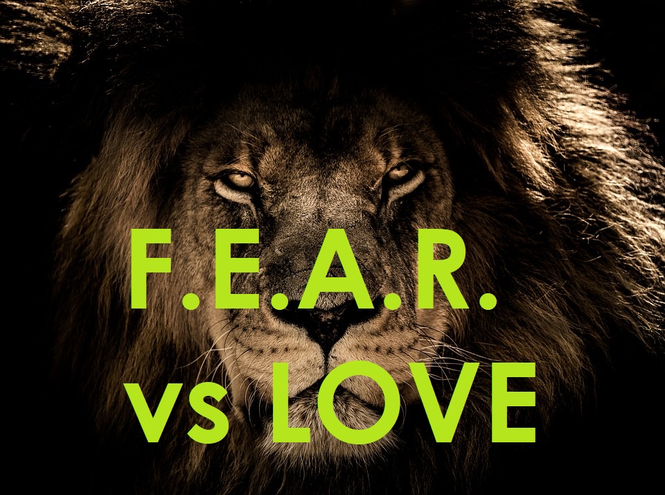 How to face your fears – Depression and Wellness Center